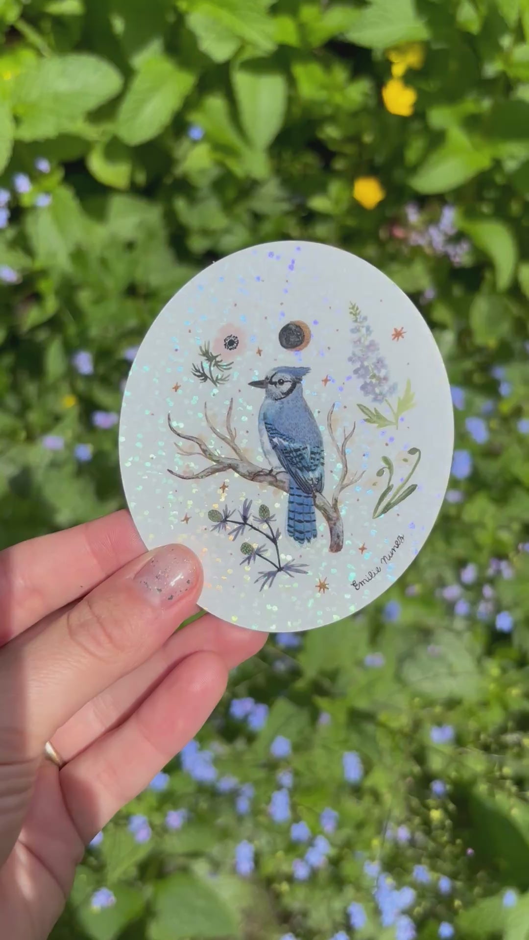 Blue Jay Sticker – Emilie Nunez Art