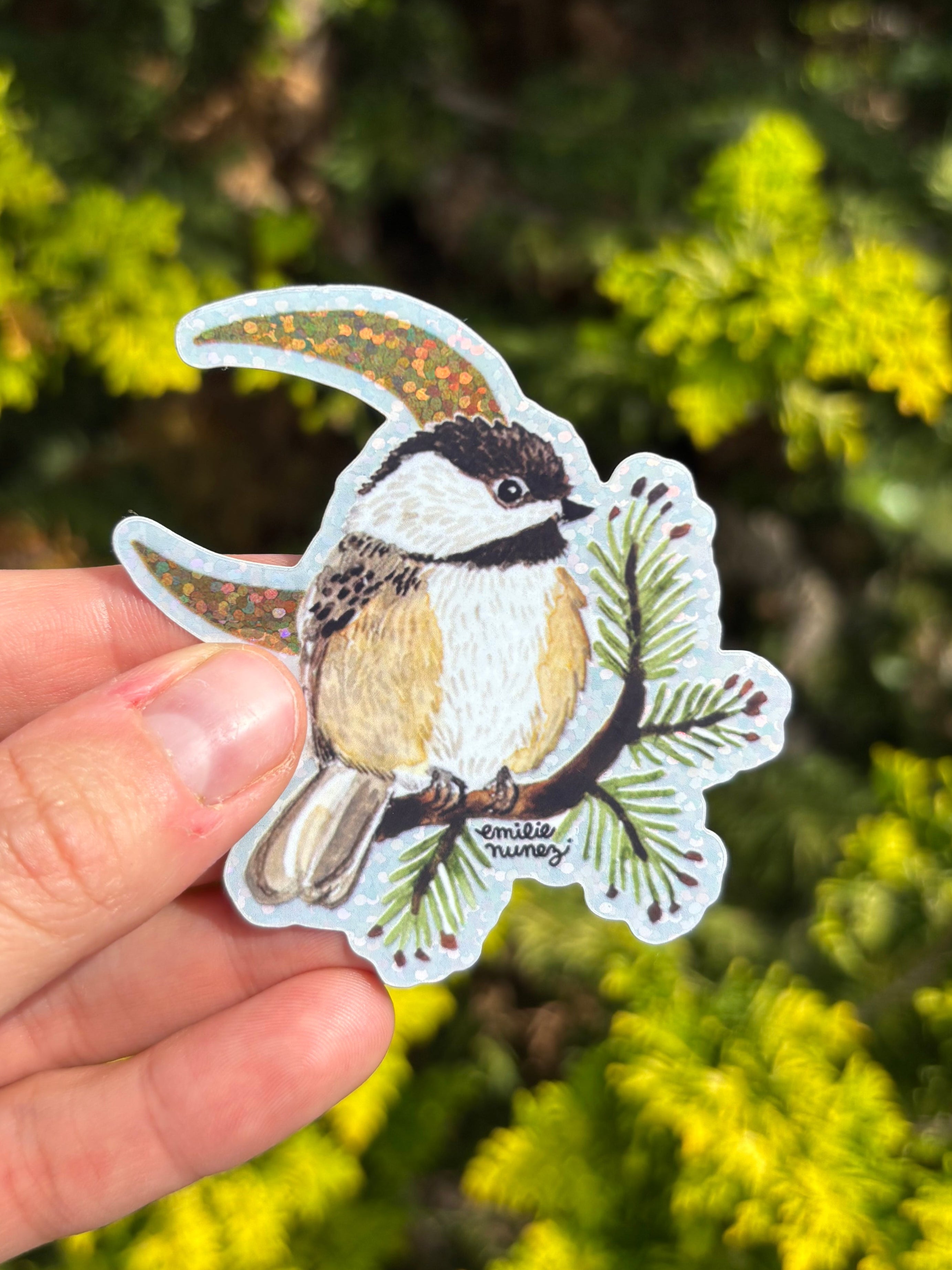 Black Capped Chickadee Sticker – Emilie Nunez Art